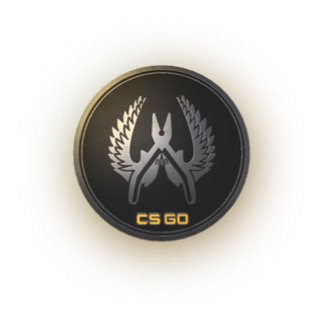 CS2KEY-钥匙商城-steam钥匙购买